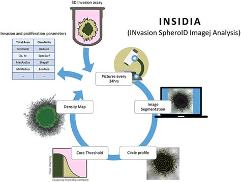 Focus Issue Metabolic Science Driving Bioindustry And Beyond