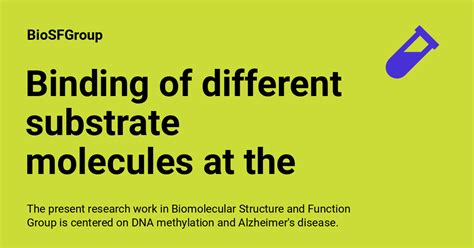 Binding Of Different Substrate Molecules At The Docking Site And The
