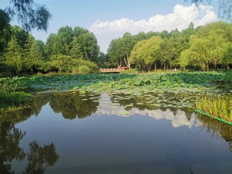 金融方向学术论文发表 金融经济专业学术cn期刊杂志投稿 知乎 金融方向学术论文发表 金融经济专业学术cn期刊杂志投稿 知乎