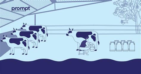 Cow To Consumer Cloud Based Dairy Solutions Provider