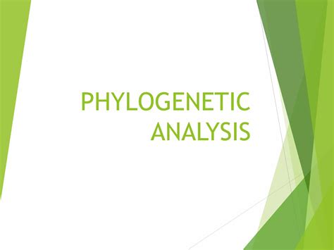 Phylogenetic Analysiscss2pptx