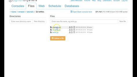 Python Writing A Line To A File