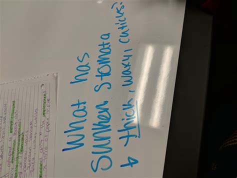 Exam Bio Flashcards Quizlet