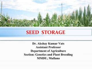 Seed Storage PPT Pptx