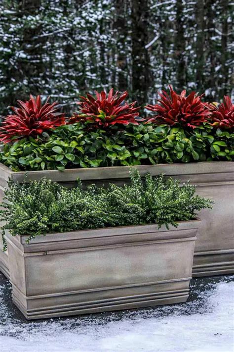 29 Winter Planter Ideas To Transform Your Outdoor Space This Season