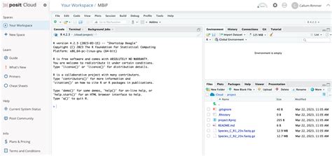 GitHub Callum Rimmer MBiP