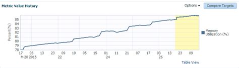 Stuck In The Middleware Understanding Host Memory Utilization