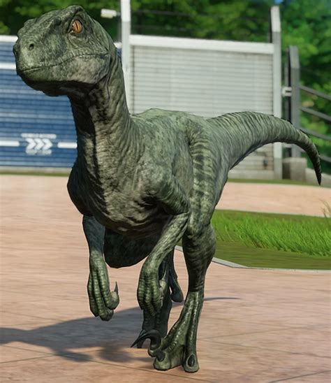 Dino Database Fandom