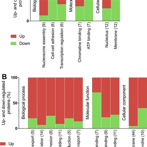 Functional Clustering And Network Analysis Of Proteins Modulated During