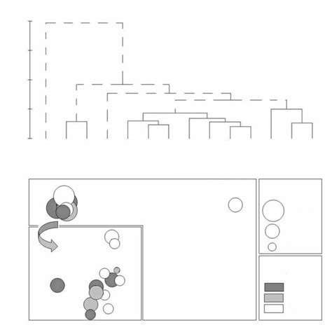 Multivariate Analyses A Cluster Analysis Continuous Lines Indicate