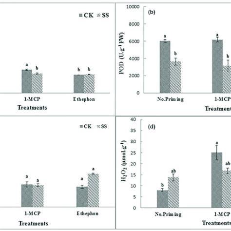 Efects Of 1 Mcp And Ethephon Seed Priming On The Relative Expression Of