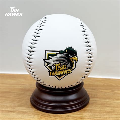 Tsg Hawks 隊徽大球 Tsg Hawks