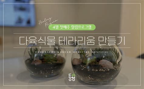 4월 첫째주 동행 힐링프로그램 다육식물 테라리움 만들기 서울동행요양병원