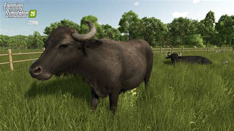 News Farming Simulator