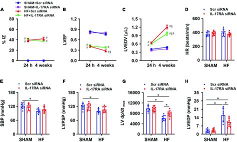 Quantitative Comparison Of Echocardiographic Variables Including Download Scientific Diagram