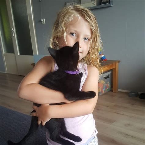 Ilana Houdt Van Paarden Youtube