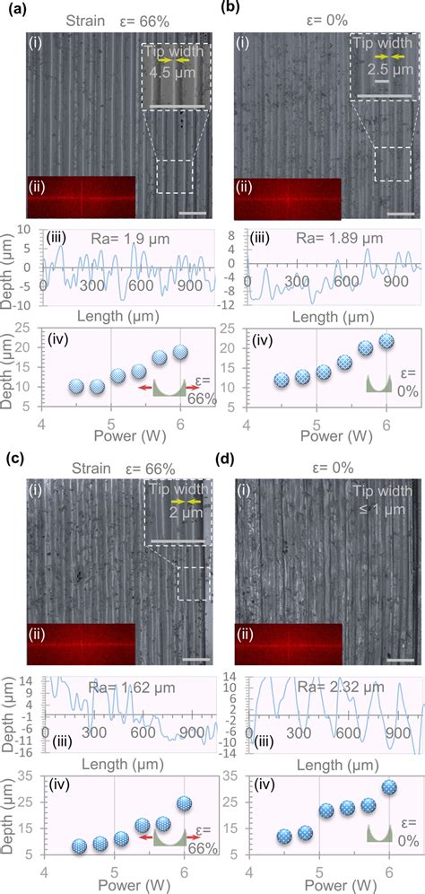 Surface Characteristics Of Two Diffuser Samples Optical Images Of Two Download Scientific