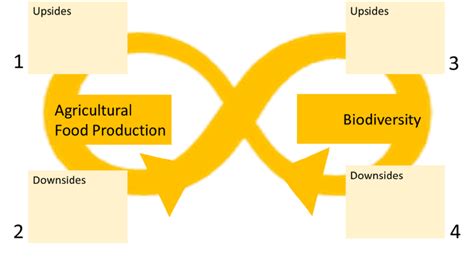Polarity Mapping Framework Download Scientific Diagram