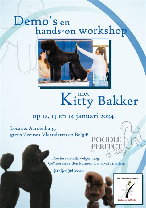 Poedels Met Kitty Bakker Groomers Europe