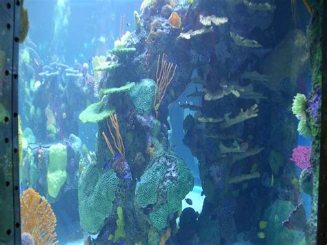 The Blue Thread Literotica Discussion Board