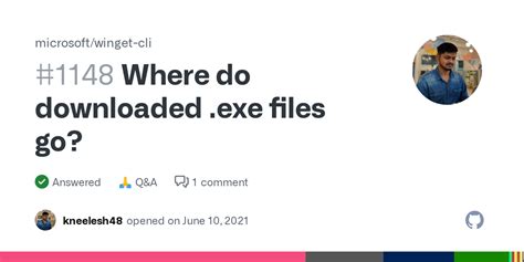 Where Do Downloaded Exe Files Go · Microsoft Winget Cli · Discussion 1148 · Github