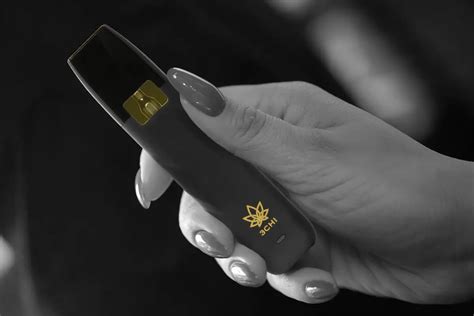 Beginner S Guide To Delta Thc Vape Pens What You Need To Know Chi