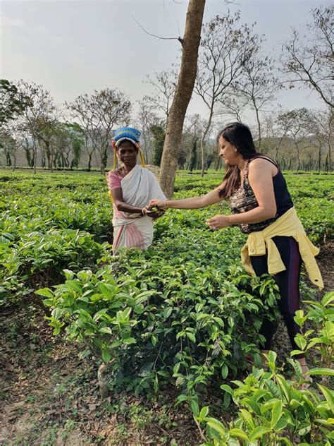 Shalini Sinha On Linkedin Leadership Business Success Sustainability Leader Innovation