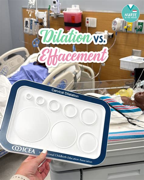 Dilation Vs Effacement👶 Dilation Nurse In The Making Facebook