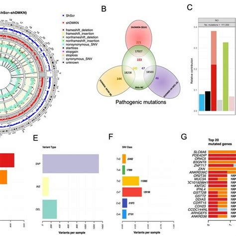 Summary Of Whole Genome And Targeted Exome Sequencing Results For Download Scientific Diagram