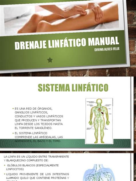 Guía De Drenaje Linfático Manual Pdf Sistema Linfático Linfa