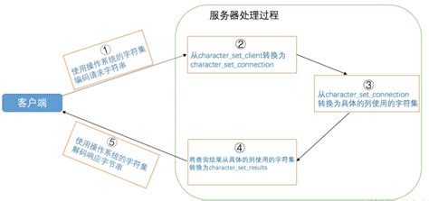 字符集和比较规则数据库字符集比较规则 Csdn博客