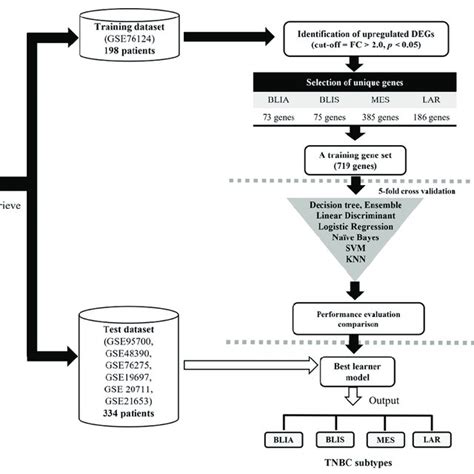 Machine Learning Analysis Workflow For The Classification Of Tnbc
