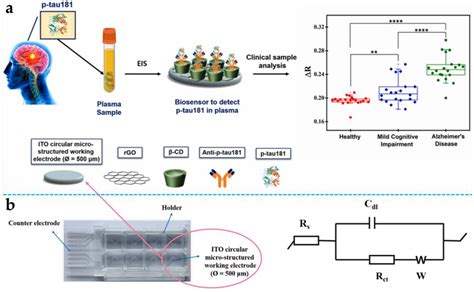 Electrochemical Technology For The Detection Of Tau Proteins As A