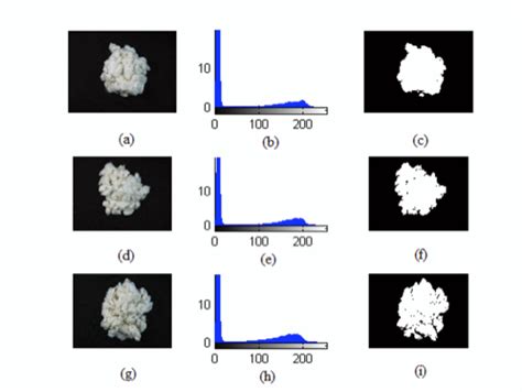 Seed Cotton Image Acquisition And Extraction Efficiency Download Scientific Diagram
