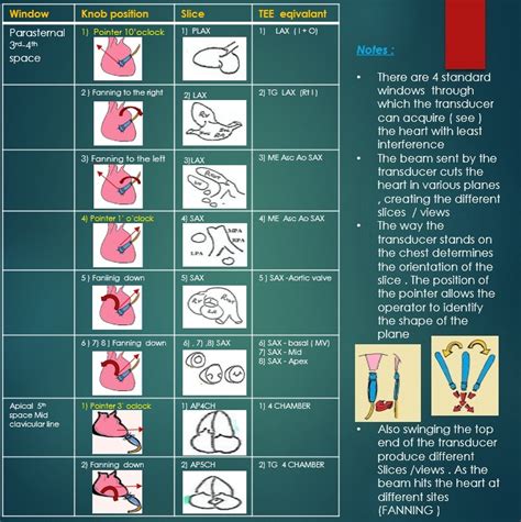 Transesophageal Echocardiogram Views
