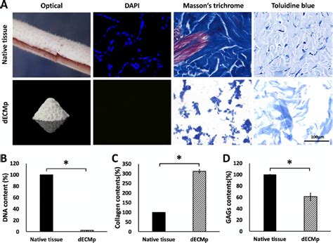 The Decellularization And The Biochemical Analysis Of The Native