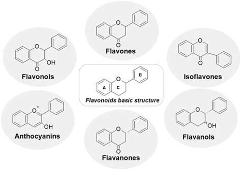 Flavonoids And Fruit Coloration A Comprehensive Review Of Biochemical