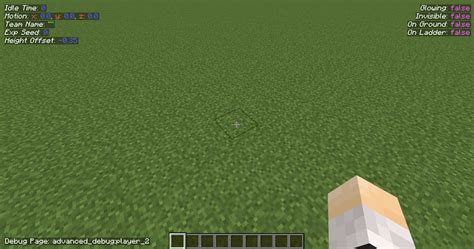 Advanced Debug Minecraft Mods CurseForge