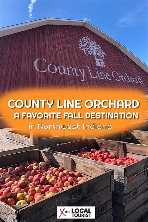 County Line Orchard Is Northwest Indianas Favorite Fall Destination