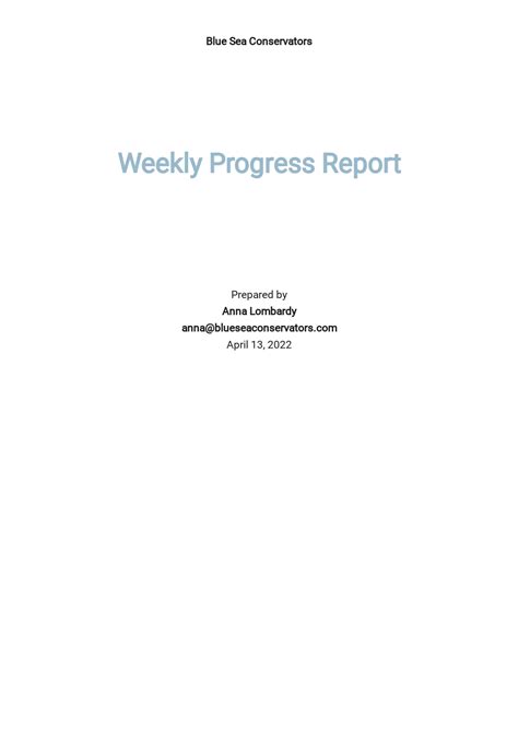 Employee Weekly Report Template Free PDF Google Docs Word Template Net