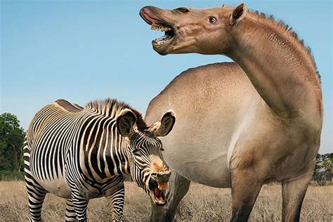 List Of Extinct Species In The World