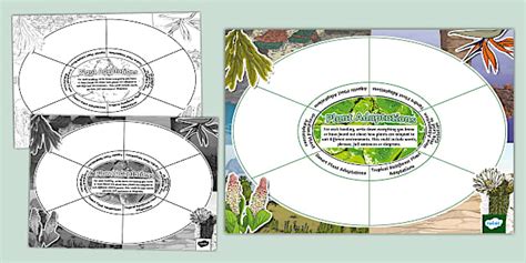 Plant Adaptations Around The Table Teacher Made Twinkl