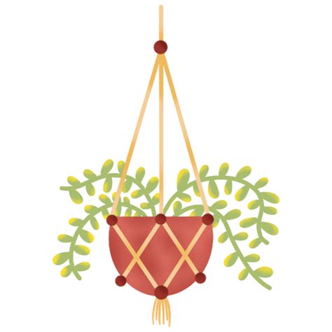 Indoor Hanging Plants Illustration 35321631 Png