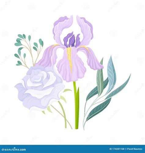 Flower Arrangement With Open Iris Bud On Green Erect Stem Vector