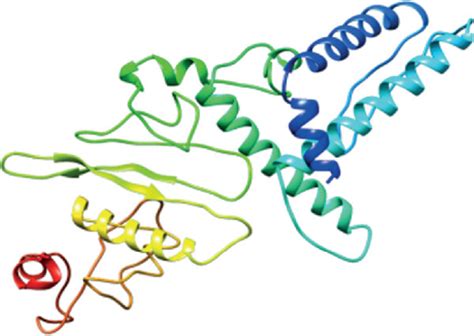 Structure Based Assessments Of The Vaccine Construct Obtained After