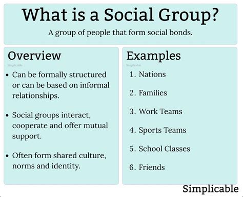 What Is A Social Group 14 Key Points Simplicable