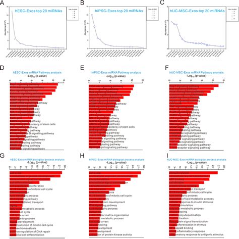 The Top Mirnas Derived From Three Exosome Samples Finely Regulate