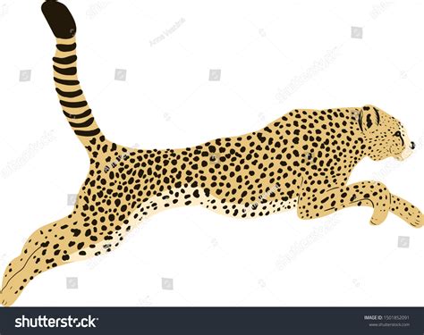 20 Lepard print Stock Vectors, Images & Vector Art | Shutterstock