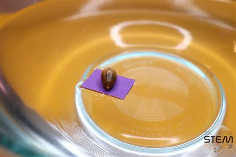 Buoyancy Explained Making Objects Float On Water