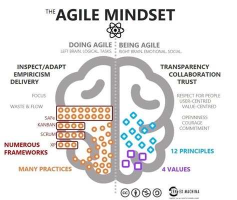 Sayyed Ali On Linkedin Embracing The Agile Mindset Transforming How We Workin Todays Fast Paced…